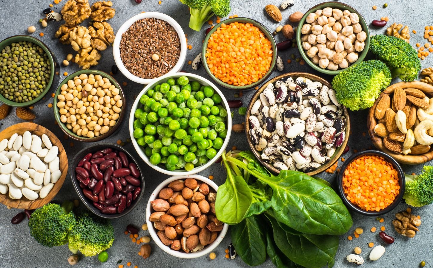 Plant Proteins | Soy, Pea, Rice, Hemp & Wheat Protein | Foodchem