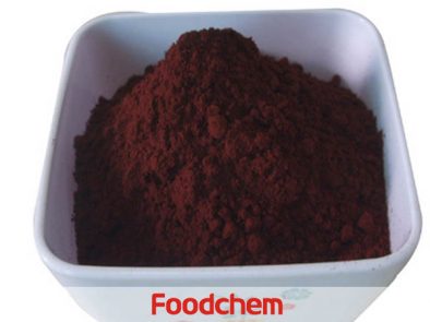 Caramel Powder - Foodchem International Corporation