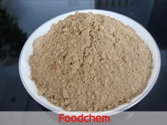 Ferrous Lactate - Foodchem International Corporation