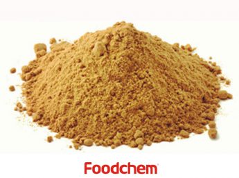 Hydrolyzed Vegetable Protein (HVP) - Foodchem International Corporation