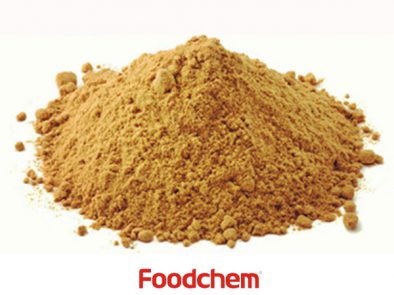 Hydrolyzed Vegetable Protein (HVP) - Foodchem International Corporation