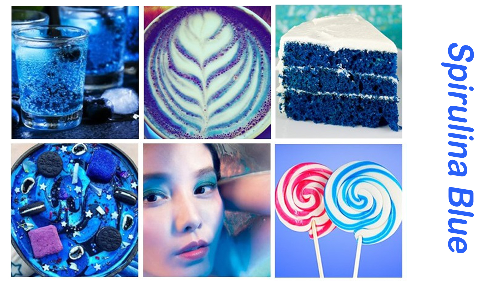 Plant Protein ＆ Natural Blue Pigment- Spirulina Blue - Foodchem ...