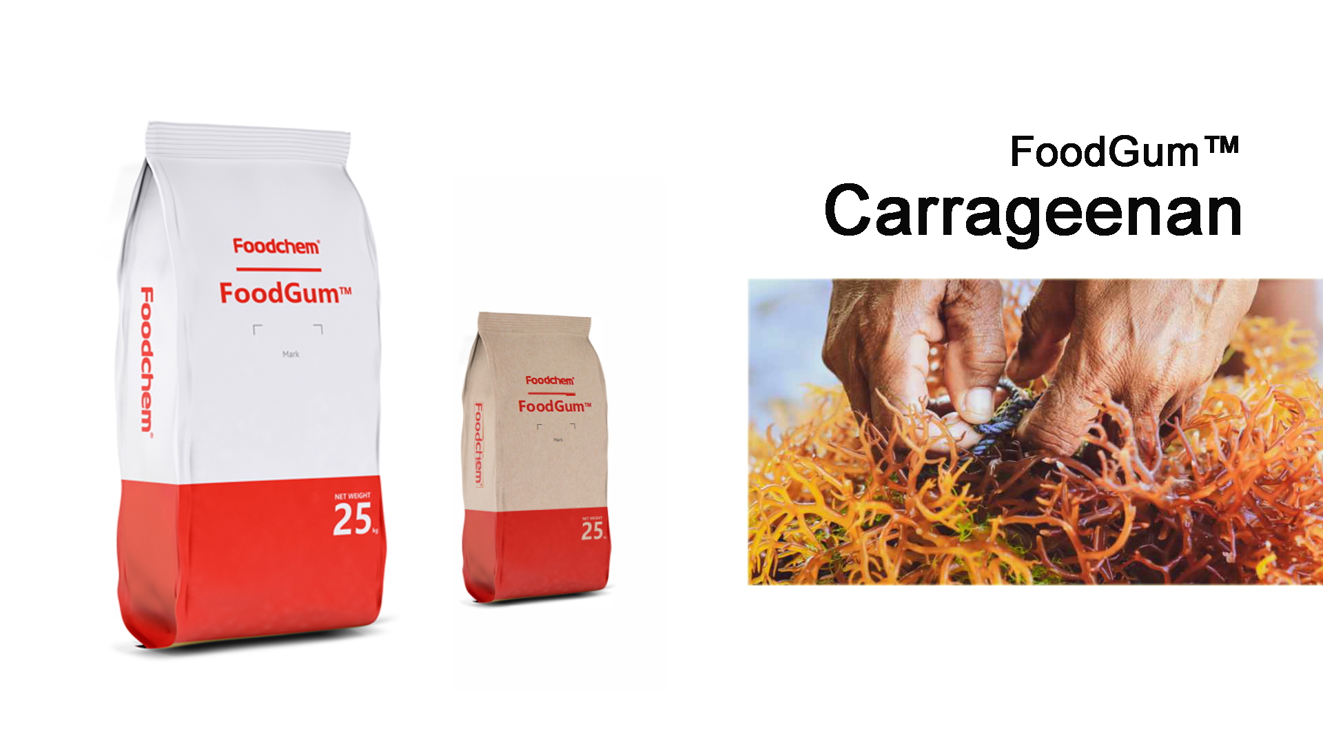 Carrageenan Supplier & Distributor - Foodchem International Corporation
