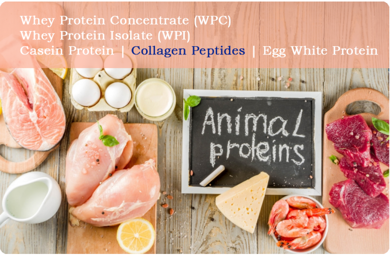 Animal Proteins | Whey, Casein, Collagen & Egg Protein | Foodchem