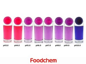 Red Cabbage Color (E163) | Natural Purple-Red Food Colorant | Foodchem ...